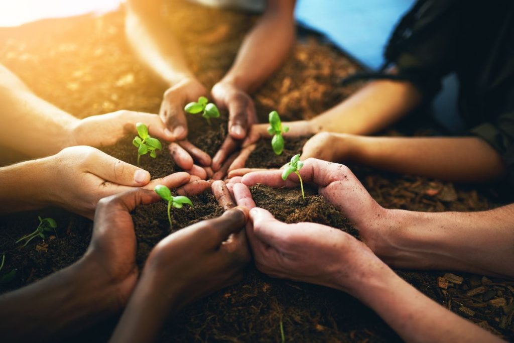 Mitä tarkoittaa kestävä kehitys? | Kysymyksiä.com